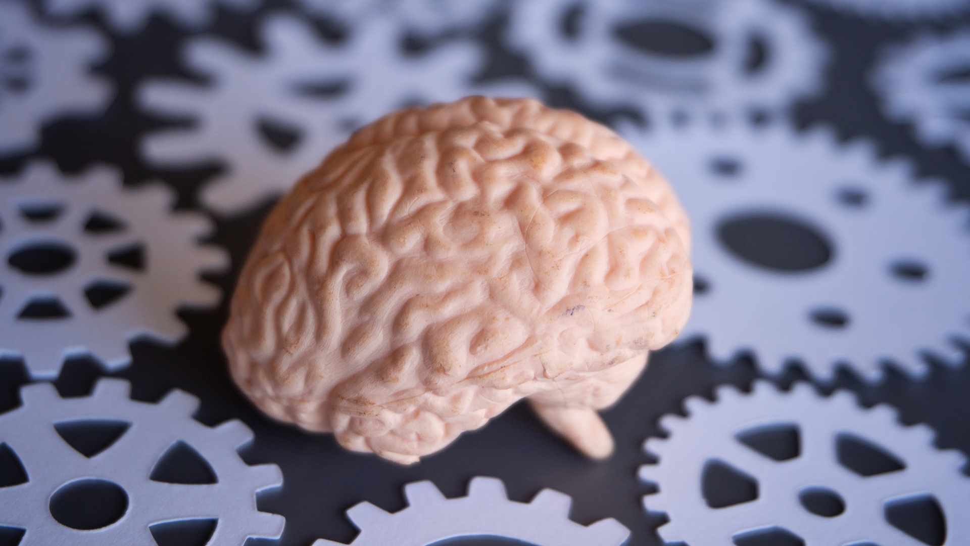 The Science of VR Learning: Understanding Processing and Retention ...